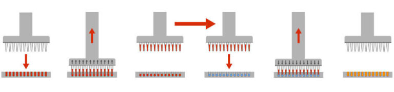 What is High-Throughput Screening? - Singer Instruments