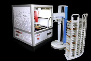 MSM 400 - Tetrad dissection - Singer Instruments