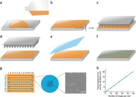 High-throughput microscopy with SLIP - Singer Instruments
