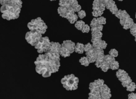 Colony Picking - the PIXL series