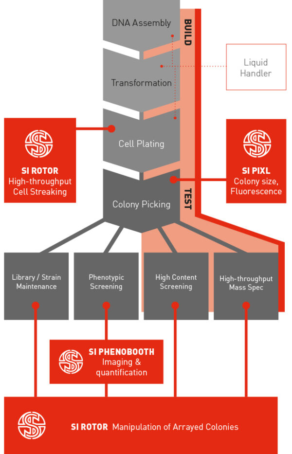 High throughput screening | ROTOR+