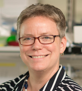 High throughput screening | ROTOR+