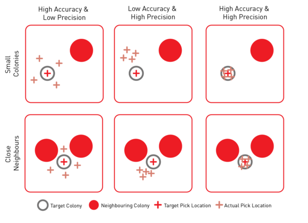What to consider when picking an automated colony picker