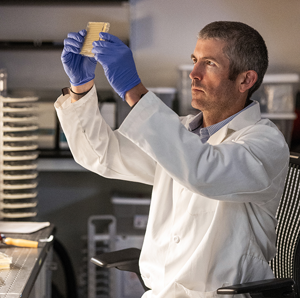 PIXL colony picker - Singer Instruments