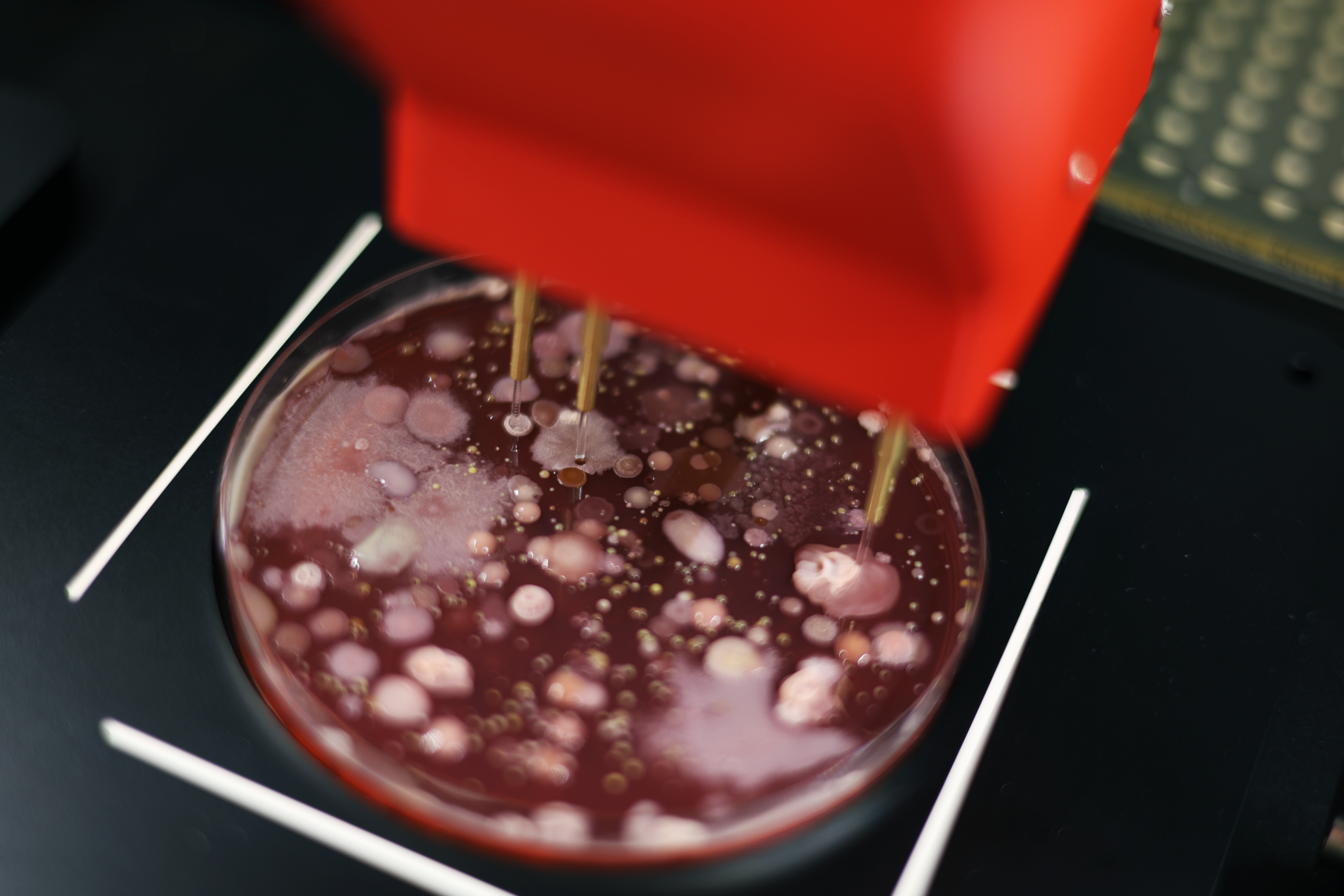 PIXL Max - Singer Instruments